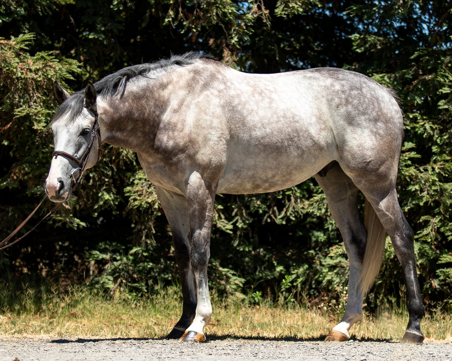 Celebrating the Heart of Aftercare: Volunteers - CARMA