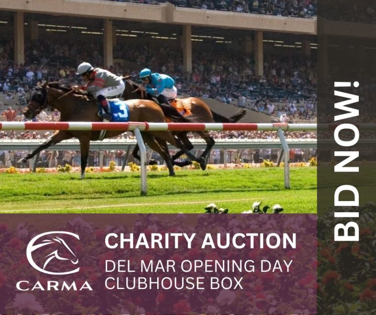 Exclusive Del Mar Opening Day Clubhouse Box on the Finish Line - CARMA